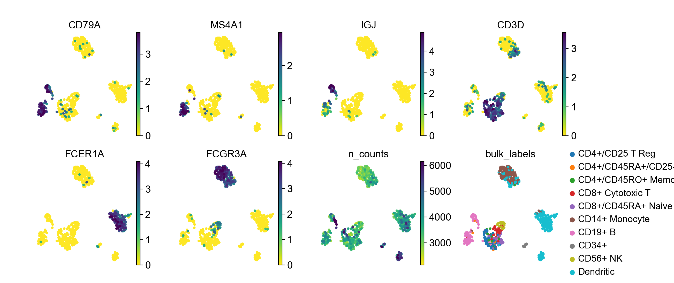 Scanpy（2）多种可视化_scanpy 基因表达-CSDN博客