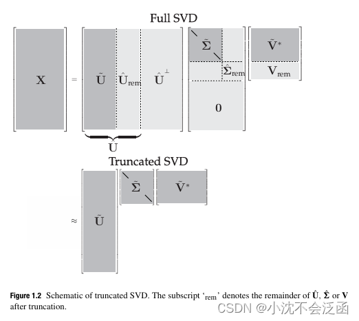 奇异值分解（Singular Value Decomposition SVD）浅说-CSDN博客