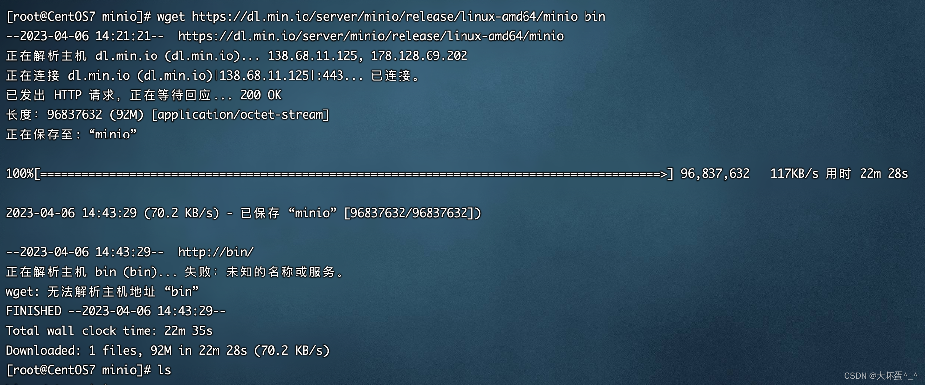 第03讲：MinIO分布式文件服务器_mino文件服务器-CSDN博客