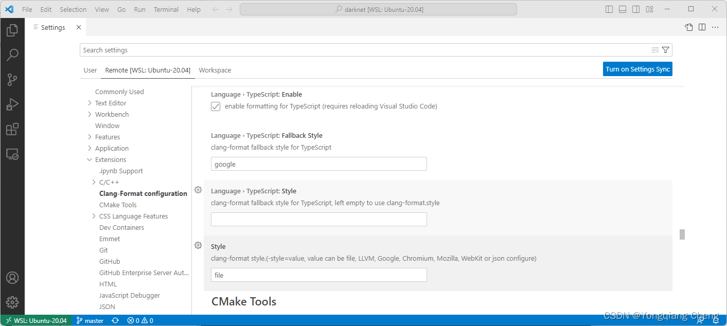 在 Visual Studio Code 中配置 Clang-Format 格式化 (排版) 工具_clang-format vscode-CSDN博客