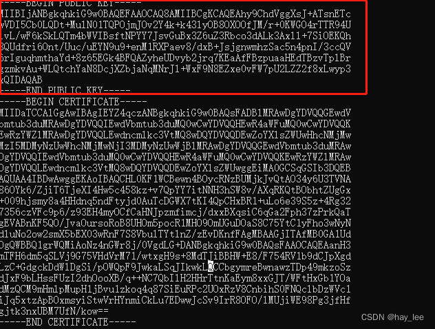 spring security + auth2.0 + jwt_springsercuiry-CSDN博客