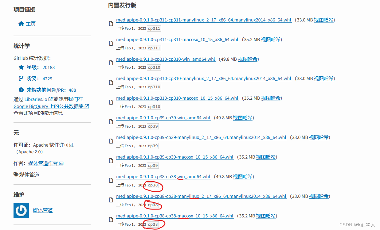 关于python的mediapipe库踩过的坑-ImportError: DLL load failed while importing _framework_bindings: 找不到指定的 ...
