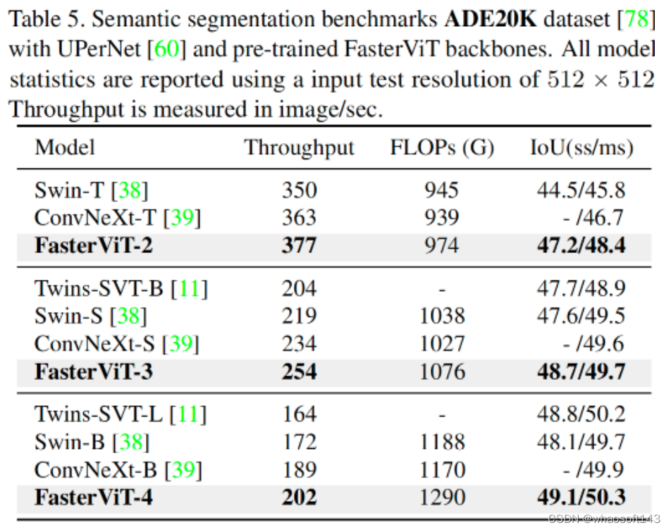 FasterViT-CSDN博客