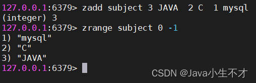 Redis入门(6)-ZSet_java redis zset-CSDN博客
