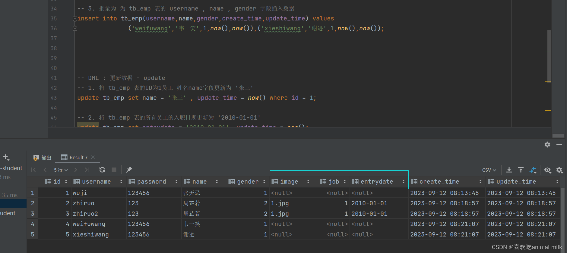 数据库-基础篇-SQL-DML（数据操作语言）_dml接口-CSDN博客
