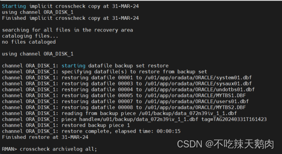 RMAN数据迁移方案_rman迁移数据库-CSDN博客