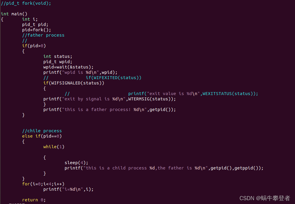 fork（） （父子进程）与wait()、waitpid()（进程回收）-CSDN博客