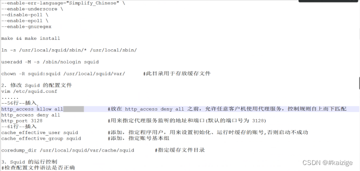 web缓存Squid代理服务_squid可以缓存已访问过的web页面-CSDN博客