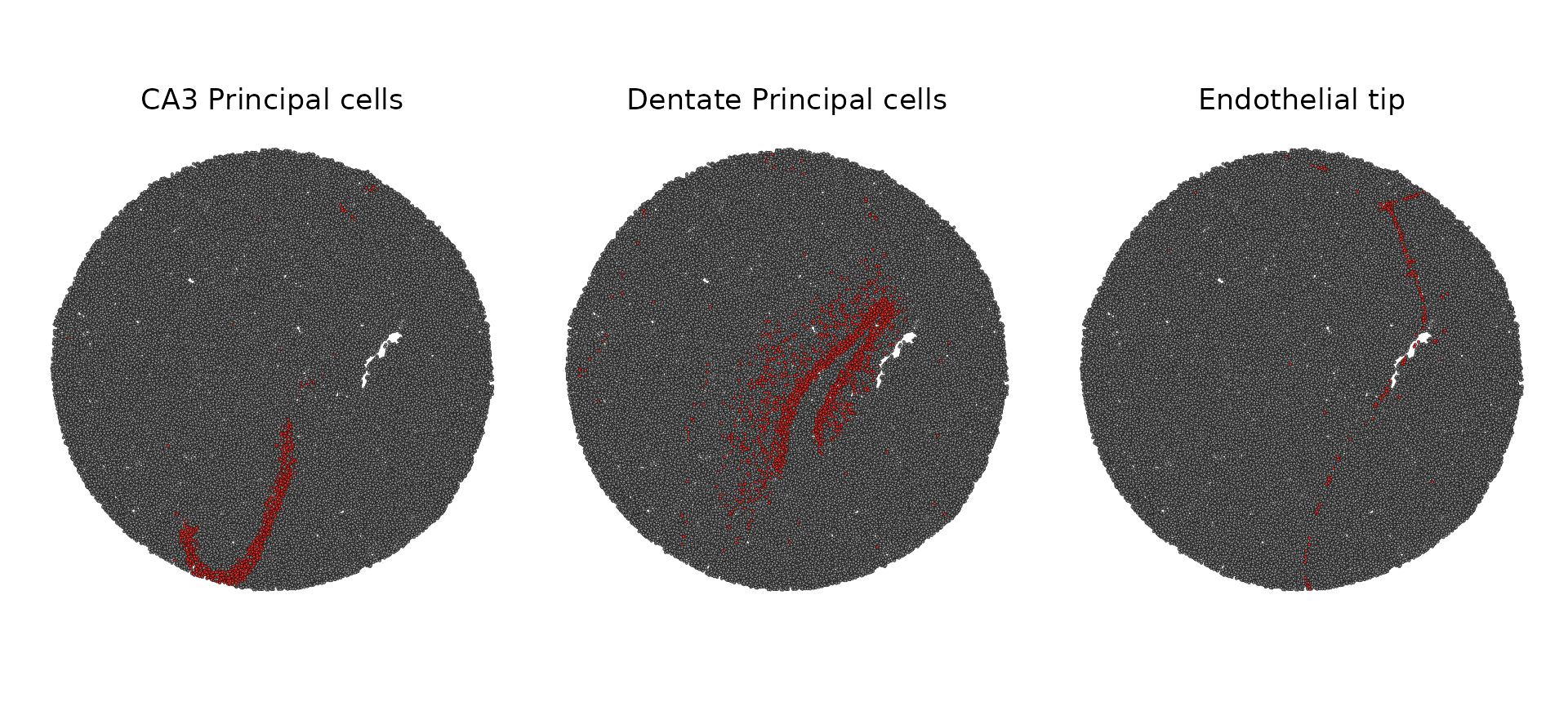 空间单细胞｜Slide-seq分析、可视化与整合(1)-CSDN博客