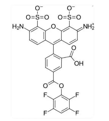 AF488 TFP ester，2133404-55-2，可以为细胞提供良好对比度的荧光图像-CSDN博客