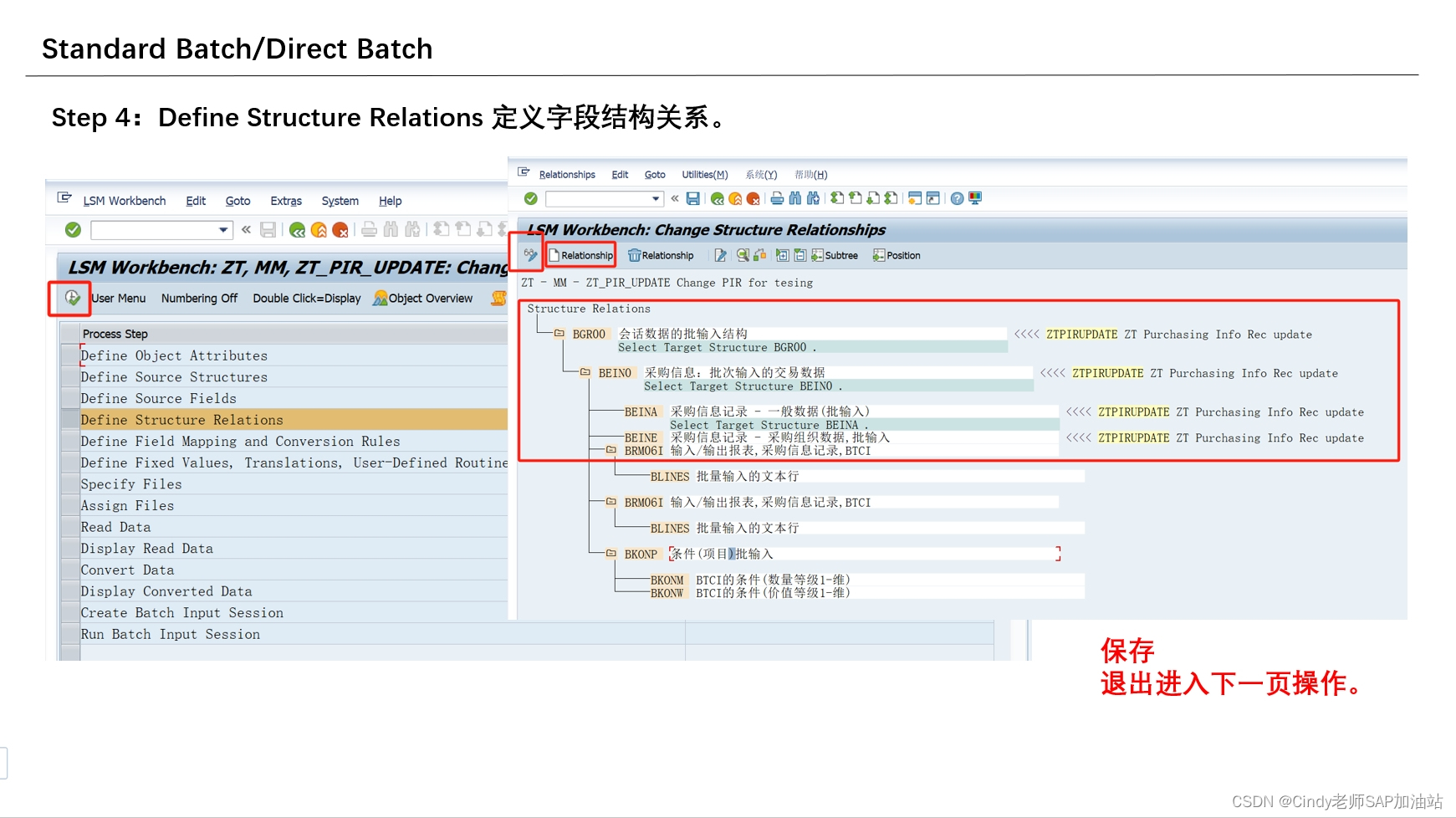 LSMW 功能展示一•Standard Batch/Direct Batch_lsmw standard-CSDN博客