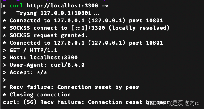 关于报错 curl: (56) Recv failure: Connection reset by peer-CSDN博客