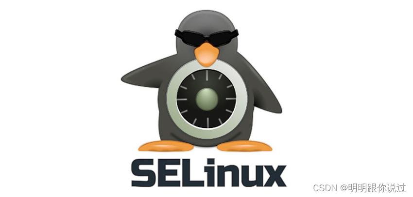 SELinux深度解析：安全增强型Linux的探索与应用（上）_selinux中的 客体-CSDN博客