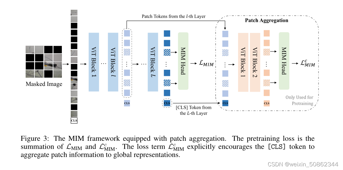 【论文笔记】BEIT V2: Masked Image Modeling with Vector-Quantized Visual Tokenizers-CSDN博客