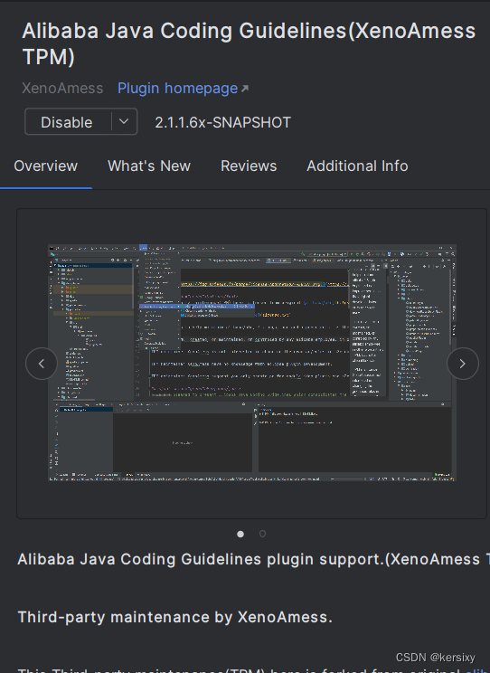 idea插件推荐_alibaba java coding guidelines plugin support.(xen-CSDN博客