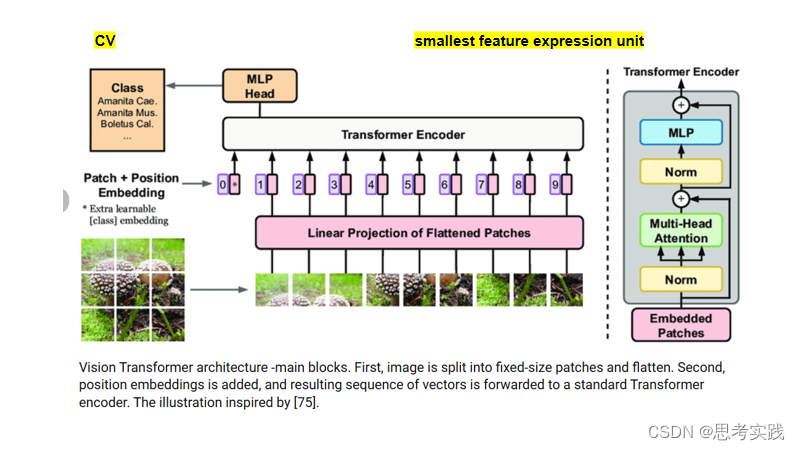 如何理解token在各个领域CV、NLP、TSF？#Tokens in Deep Learning_tsf,cv,nlp-CSDN博客