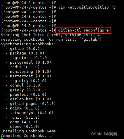 Gitlab在线安装、离线安装、搭建、使用等详细介绍，不能再详细了……_windows服务器离线安装gitlab-CSDN博客