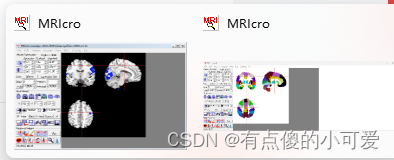 fMRI数据处理（随时更新）-CSDN博客
