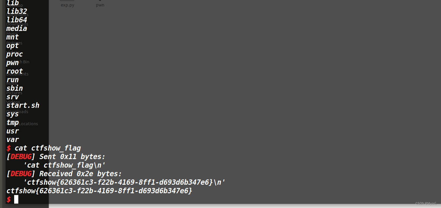Ctfshow Pwn 栈溢出（pwn41 Pwn42）ctfshow Pwn41 Csdn博客