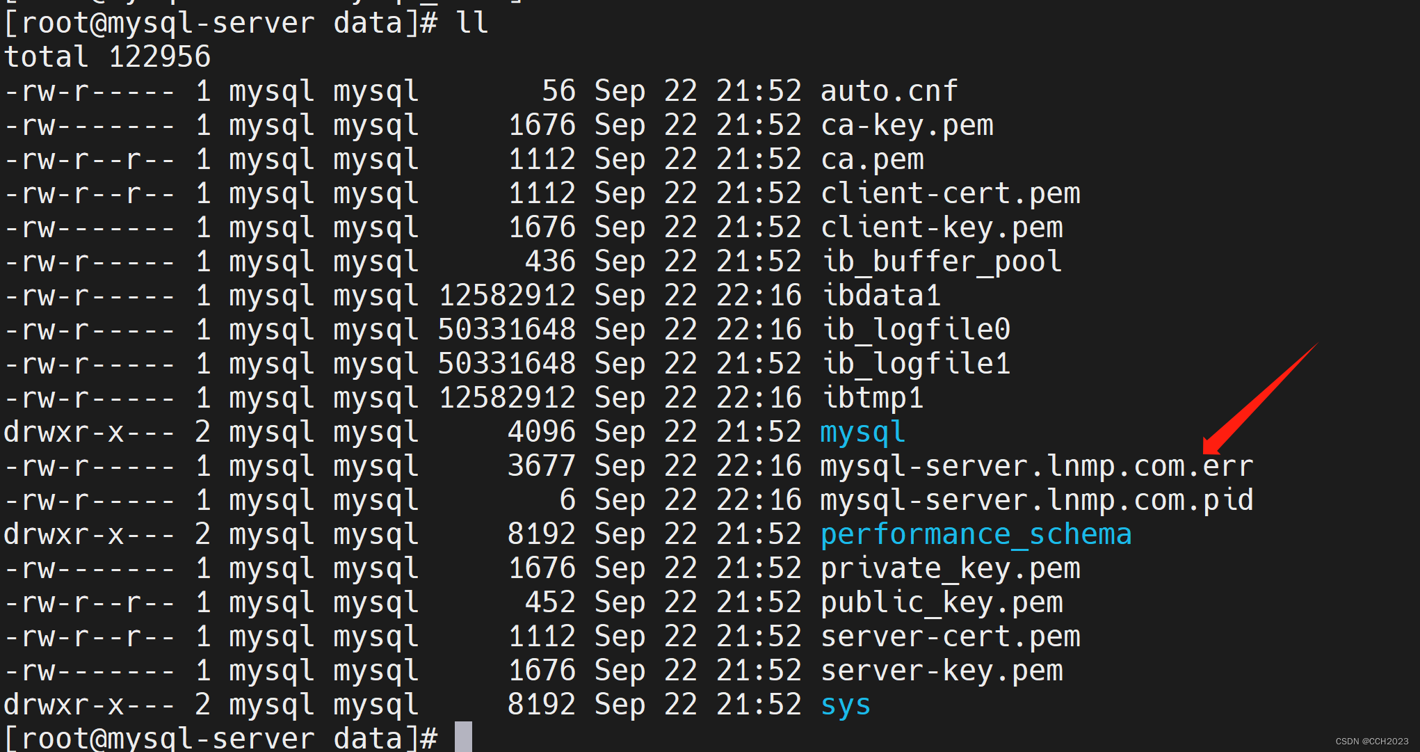 MySQL学习笔记4——glibc版本安装_glibc安装-CSDN博客