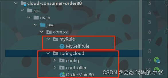springCould中的Ribbon-从小白开始【5】-CSDN博客