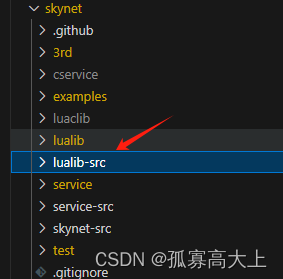 skynet安装和配置-CSDN博客