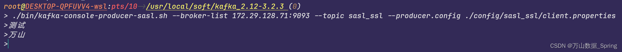 ClickHouse连接SASL_SSL认证的Kafka_clickhouse sasl.jaas.config-CSDN博客