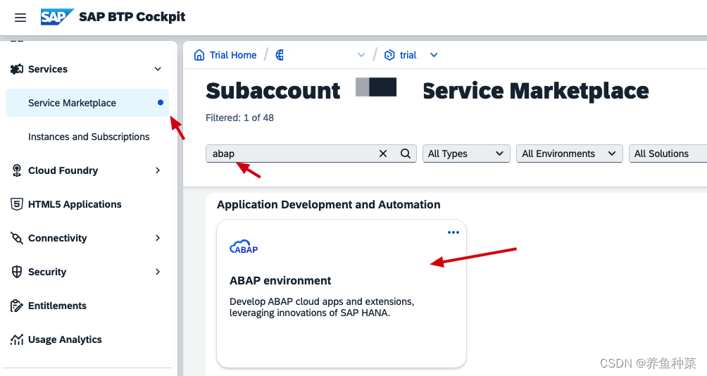 BTP上的ABAP开发（1）环境搭建_abap btp-CSDN博客