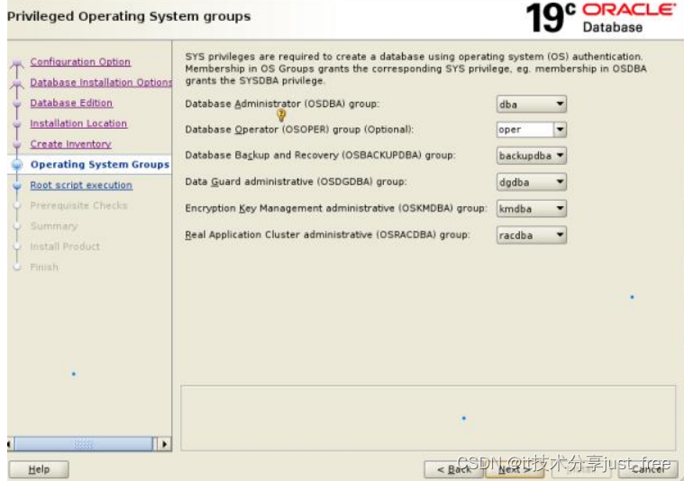 基于 oracle Liunx 环境的部署 Oracle 19C_linux oracle 19c 主备-CSDN博客