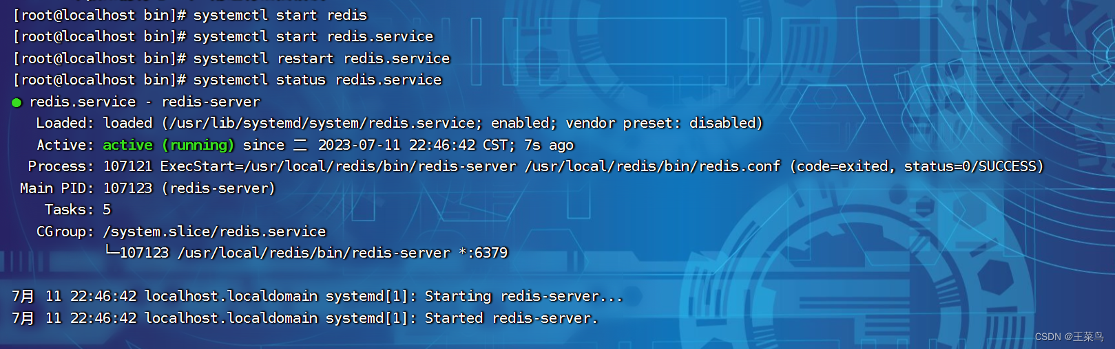 Centos7离线模式安装Redis6.2.13详细步骤（rpm方式）_centos7 离线安装redis-CSDN博客