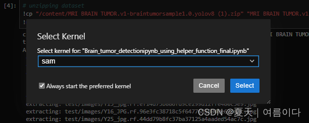 环境配置 |Jupyter lab/Jupyter Notebook 安装与设置_jupyterlab安装教程-CSDN博客