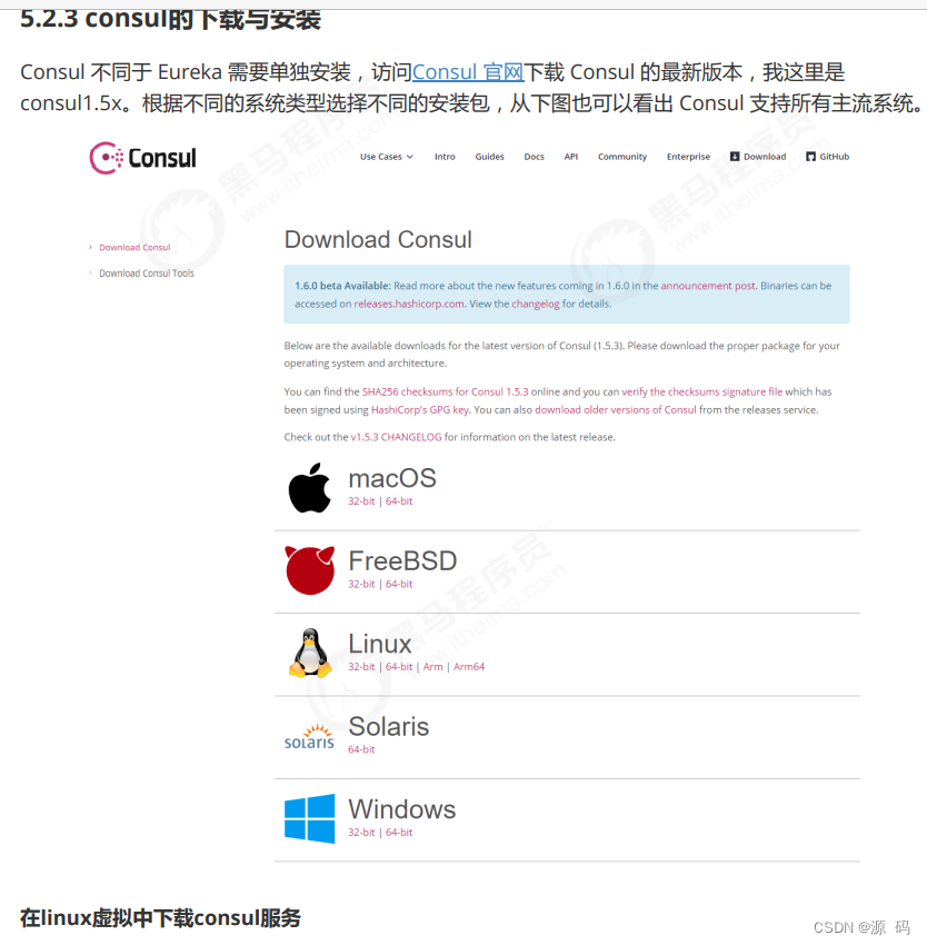 服务注册Eureka Consul 和 Ribbon 负载均衡 详解-CSDN博客