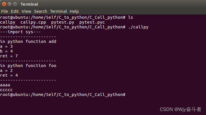 C语言调用Python脚本及函数示例-CSDN博客