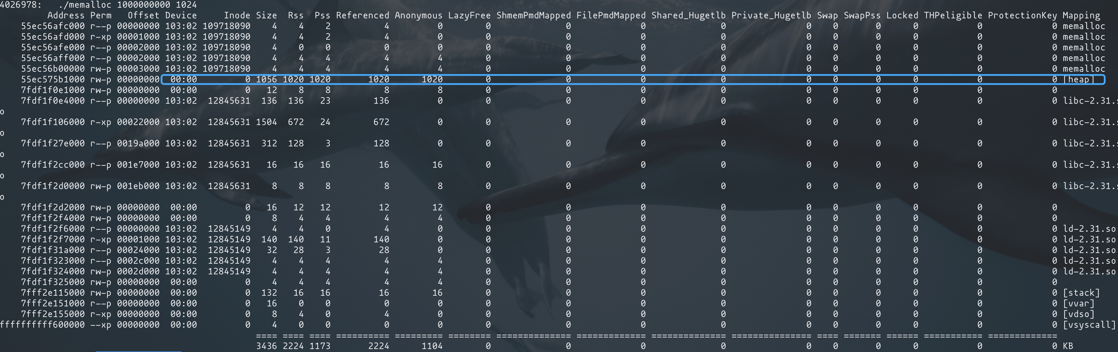 从 malloc 分配大块内存失败 来简看 linux 内存管理_64操作系统 malloc 连续128分配1g内存 第二次分配就失败了-CSDN博客
