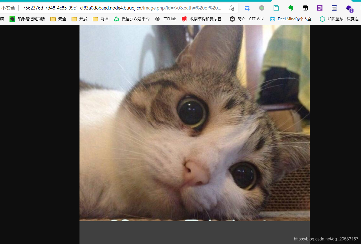 [CISCN2019 总决赛 Day2 Web1]Easyweb_ciscn总决赛web wp-CSDN博客