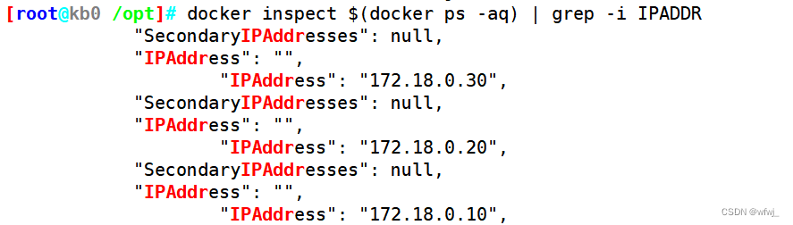 Linux6.13 Docker LNMP项目搭建_linux 6.13-CSDN博客