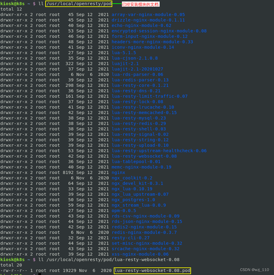 Openresty原理概念篇(五) 隐藏在openresty背后的子项目_openresty 目录-CSDN博客