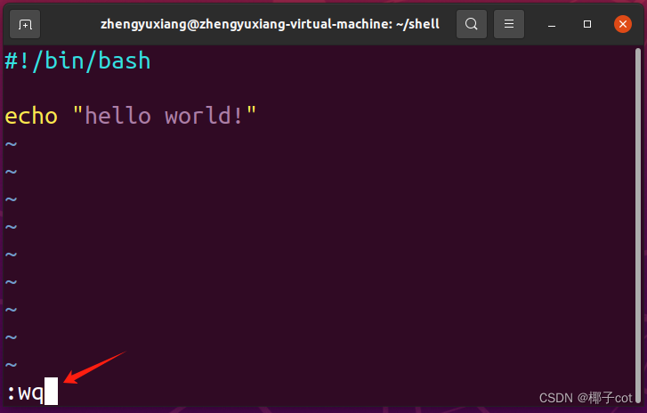 shell编程 vim编辑bash脚本如何使用_bash命令用vim编辑-CSDN博客