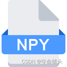 【NumPy数据处理】使用`.npy`文件格式存储NumPy数组数据_npy文件-CSDN博客