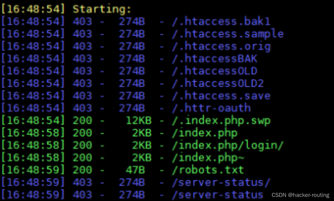 【buuctf N1book】 第一章 Web入门 通关粗心的小李 Csdn博客 