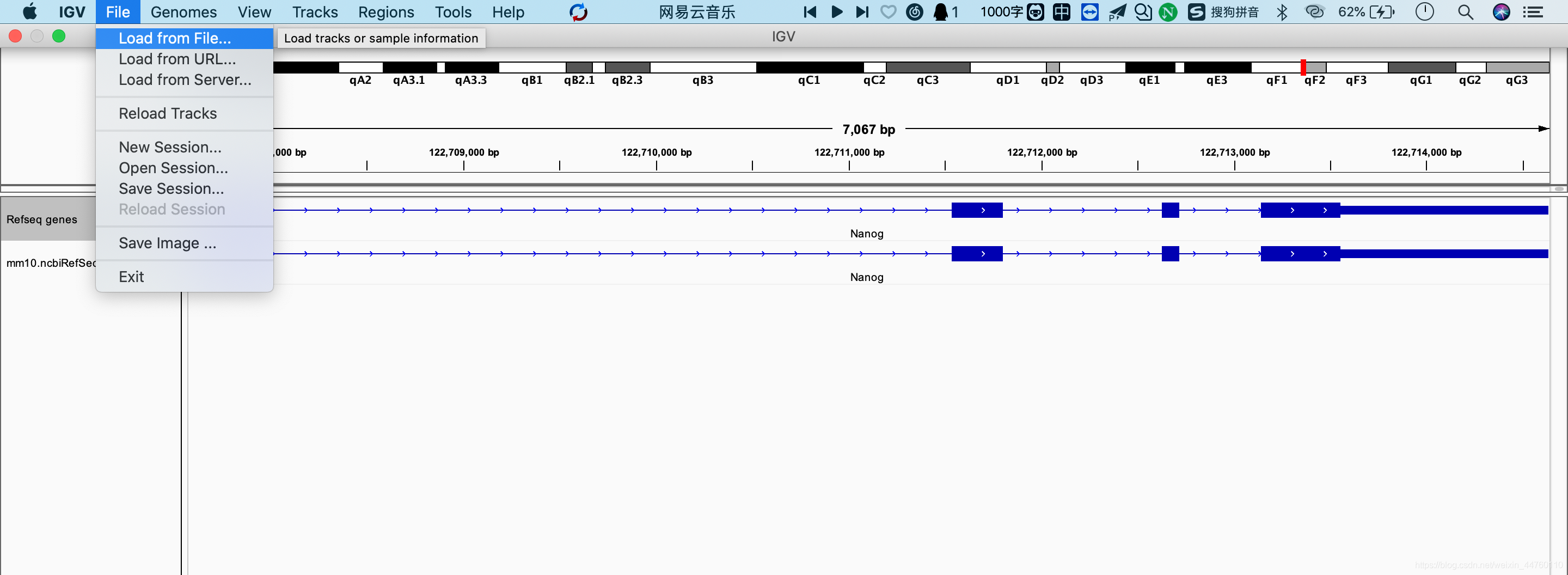 UCSC寻找基因位置并用IGV画出基因转录示意图_igv 寻找目的基因-CSDN博客