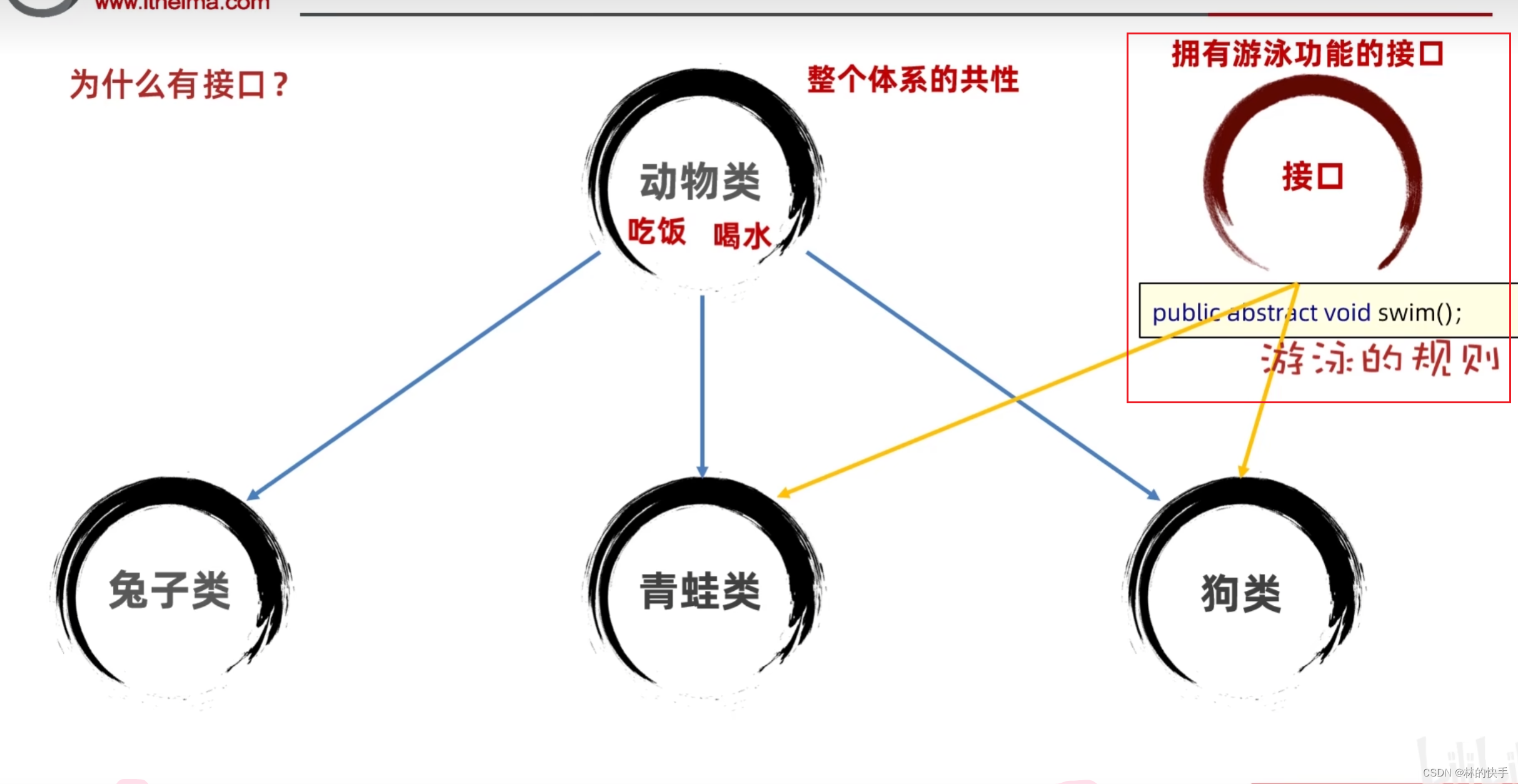 Java基础——接口（全网最详细教程）java接口开发 Csdn博客