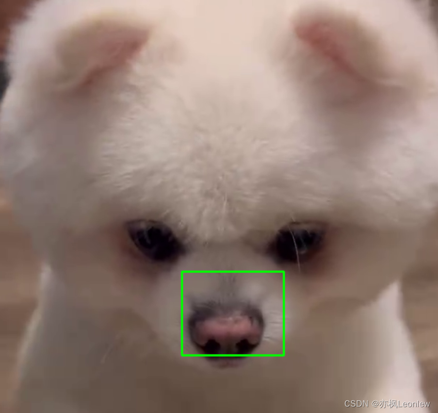 Python Opencv实践 视频目标追踪meanshiftpython中使用opencv对视频中多对象进行实时追踪 Csdn博客