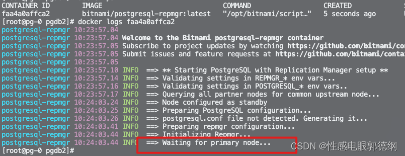 docker+postgresql+pgpool搭建集群数据库遇到问题求助 Waiting for primary node_docker上部署pgpool高可用集群搭建-CSDN博客
