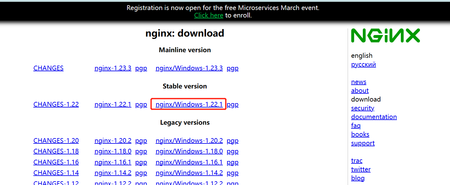 Windows安装部署nginx_windows安装nginx-CSDN博客