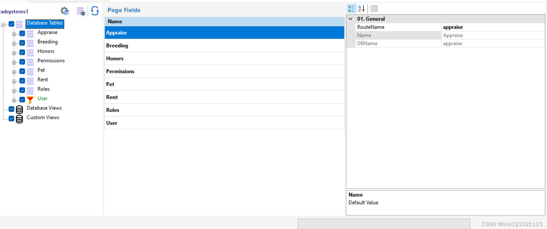 《radsystems教程的基本使用之角色权限分离》-CSDN博客