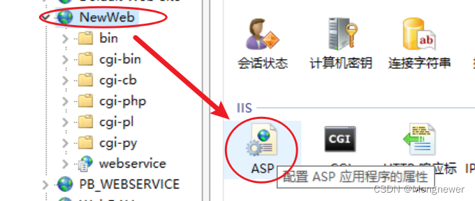 IIS WebDAV配置，https绑定及asp设置-CSDN博客