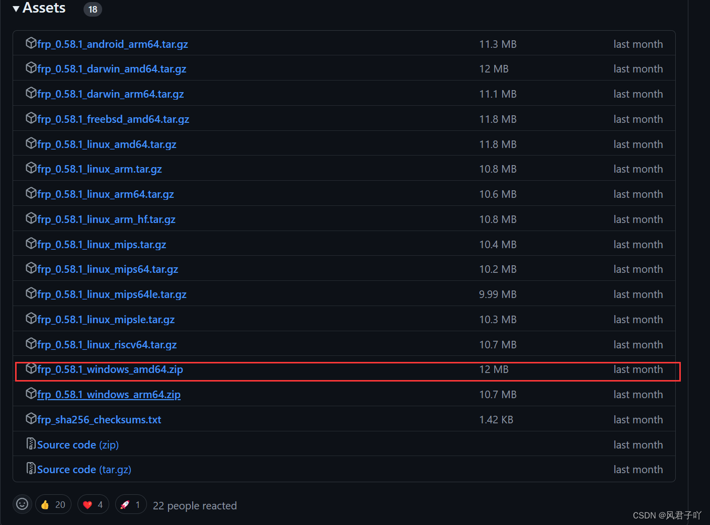 内网穿透_frp的使用_natfrp怎么用-CSDN博客