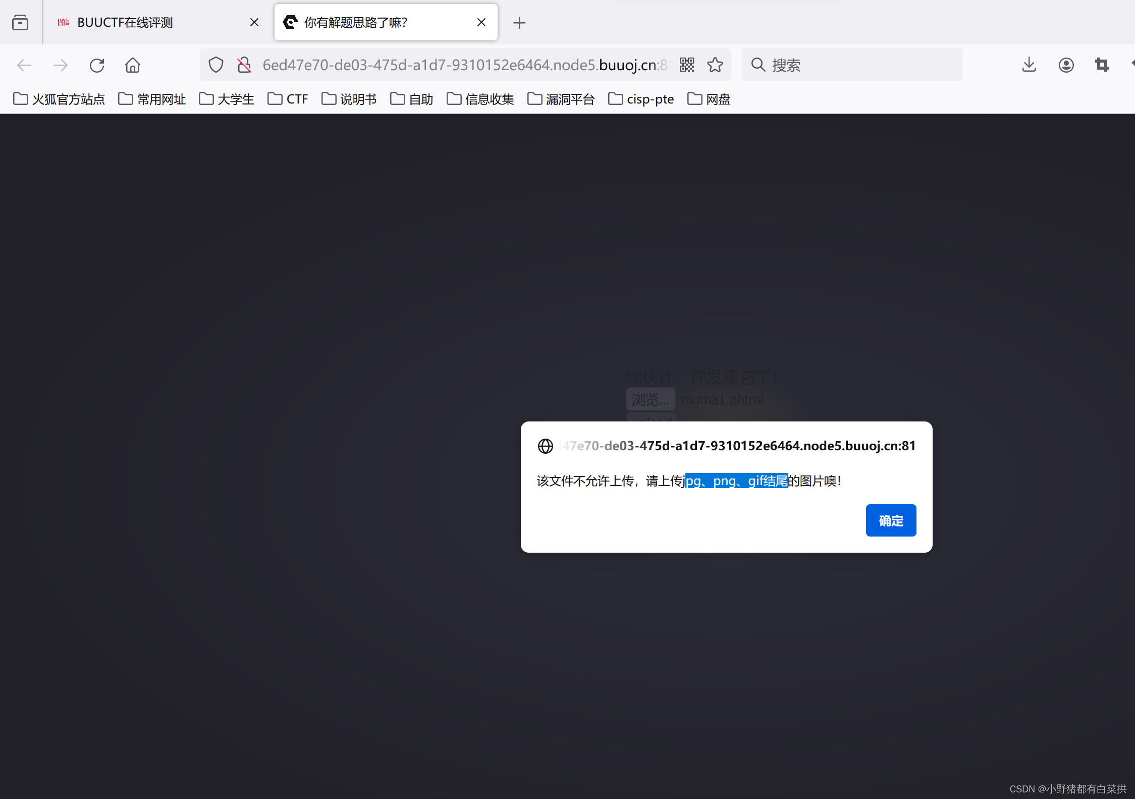 [ACTF2020 新生赛]Upload--BUUCTF-CSDN博客