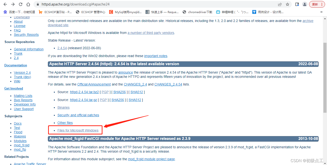 菜鸟教程：Python3 CGI编程实操演练-Windows_apache cgi 菜鸟教程-CSDN博客